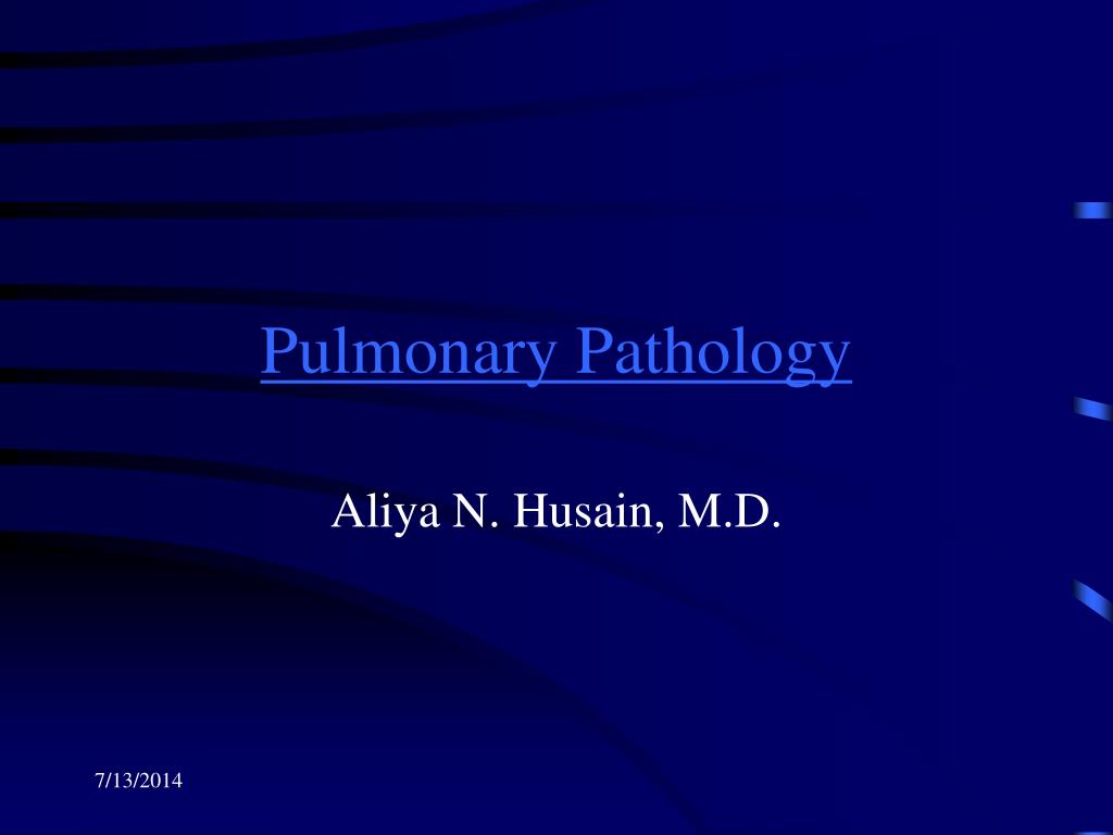 PPT - Pulmonary Pathology PowerPoint Presentation, free download - ID ...