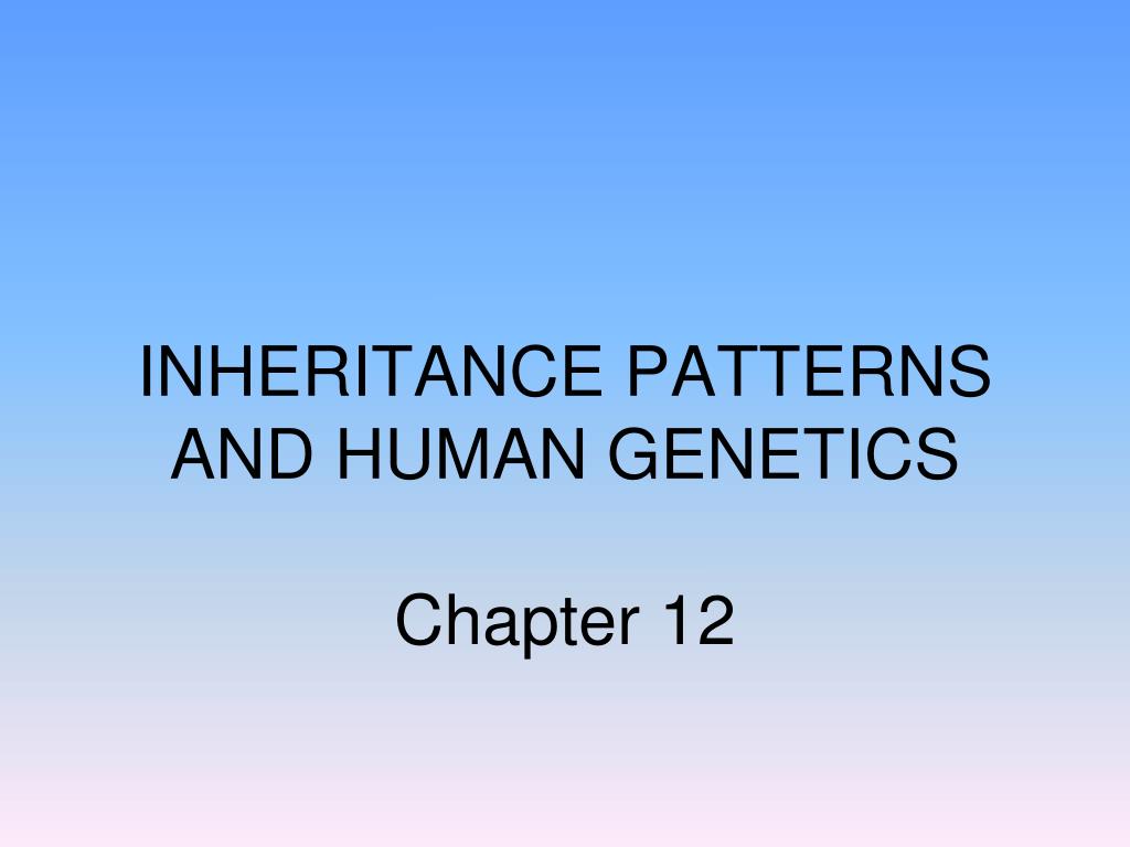 PPT - INHERITANCE PATTERNS AND HUMAN GENETICS Chapter 12 PowerPoint ...