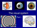 PPT - The visual system PowerPoint Presentation, free download - ID:348877