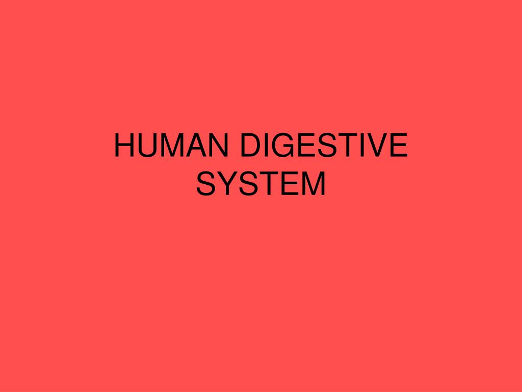 PPT - HUMAN DIGESTIVE SYSTEM PowerPoint Presentation, free download ...