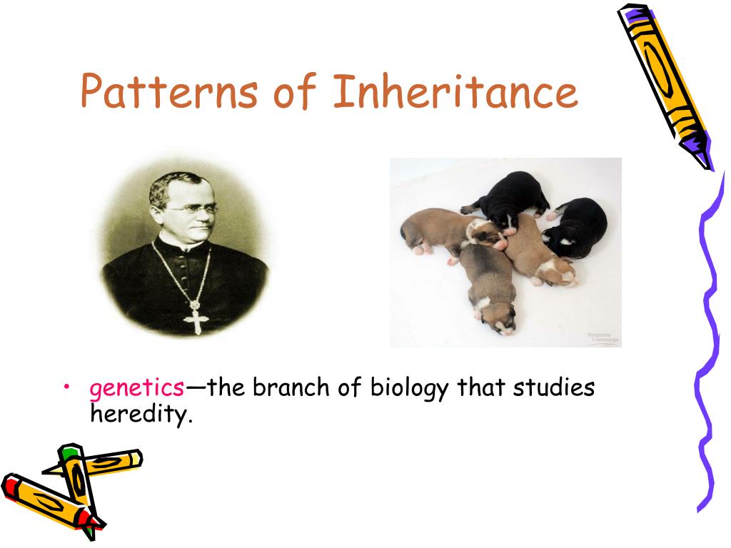 PPT - Patterns of Inheritance PowerPoint Presentation, free download ...
