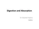 PPT - Digestion and Absorption PowerPoint Presentation, free download ...