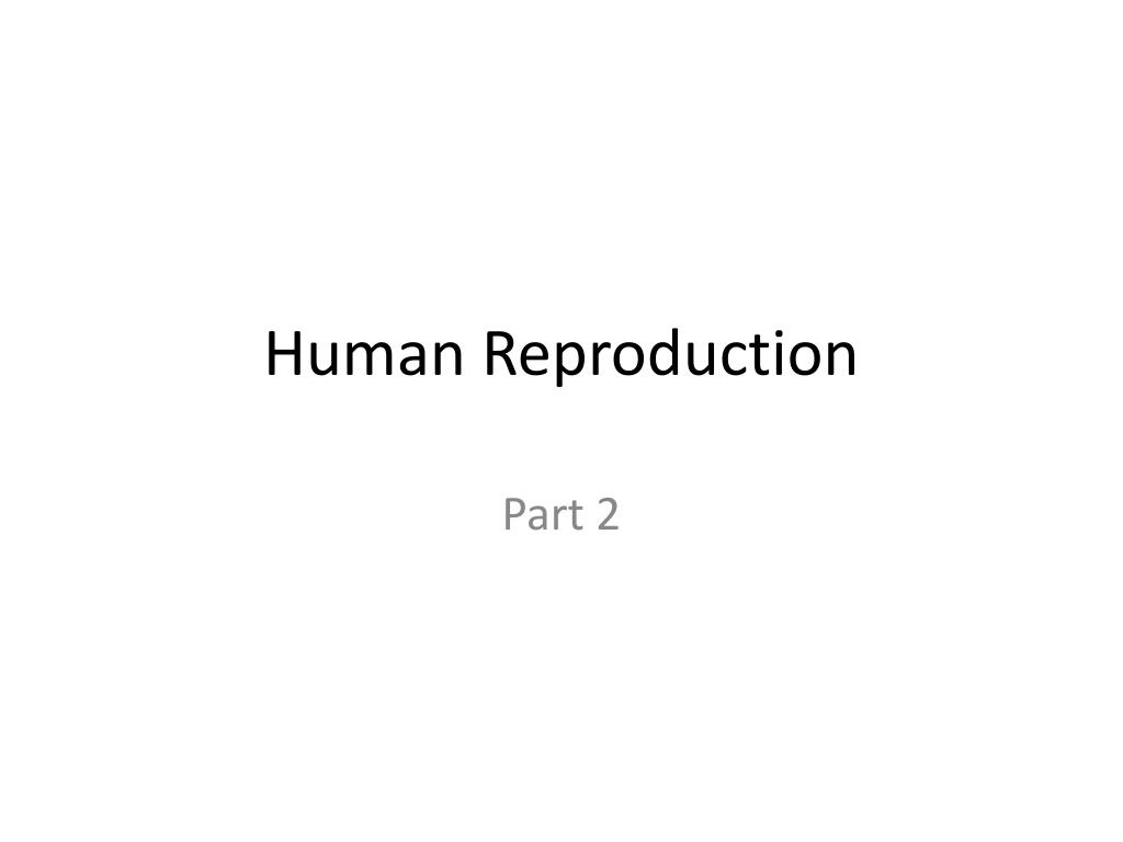 PPT - Human Reproduction PowerPoint Presentation, free download - ID ...