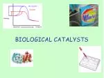 PPT - Enzymes as Biological Catalysts PowerPoint Presentation, free ...