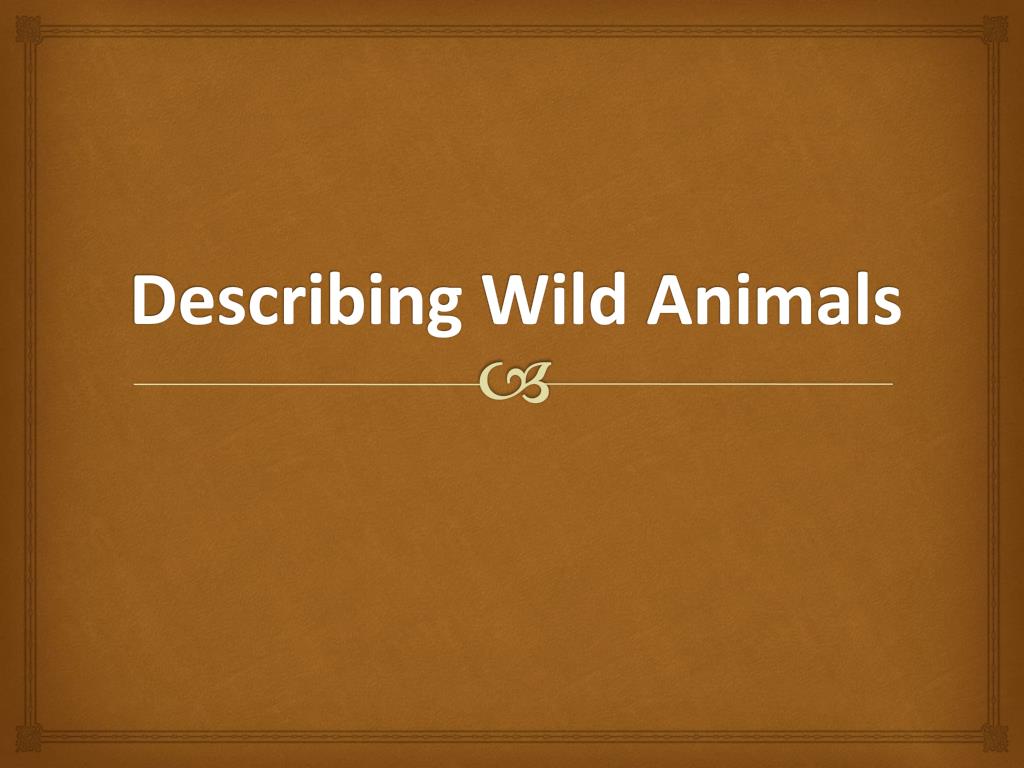PPT - Describing Wild Animals PowerPoint Presentation, free download ...