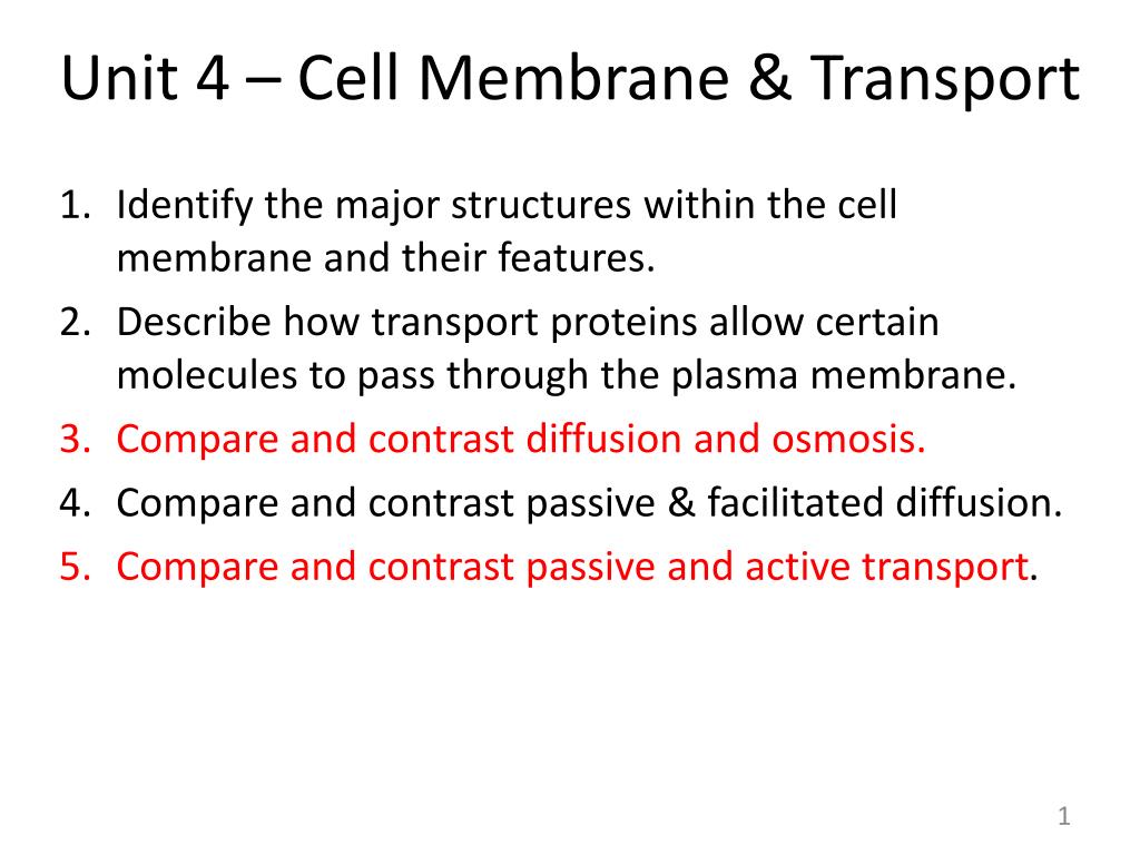 PPT - Unit 4 – Cell Membrane & Transport PowerPoint Presentation - ID ...