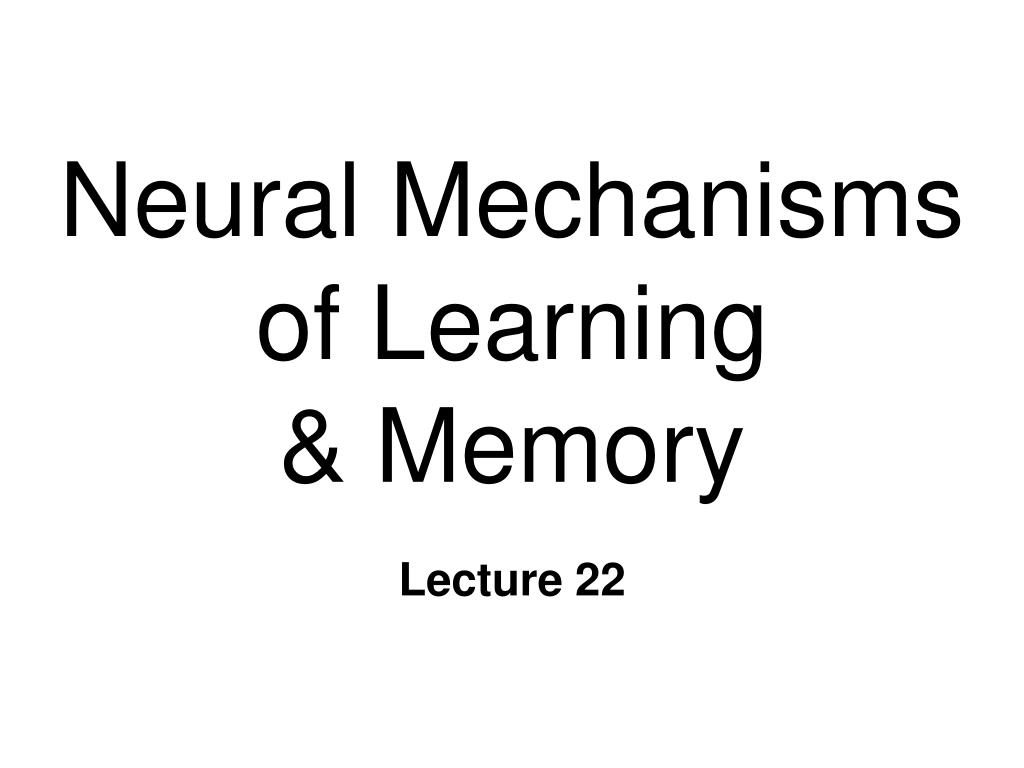 PPT - Neural Mechanisms of Learning & Memory PowerPoint Presentation - ID:1715792