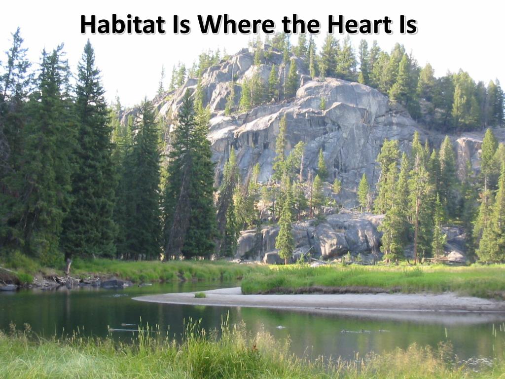 PPT - Habitat Is Where the Heart Is PowerPoint Presentation, free ...