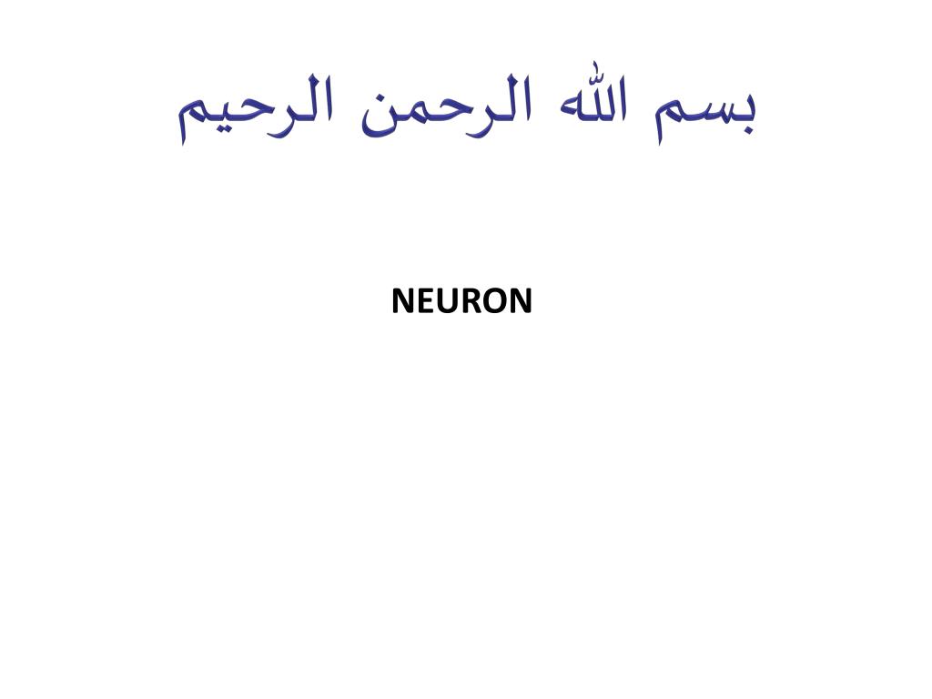 PPT - NEURON PowerPoint Presentation, free download - ID:1716703