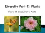 PPT - Diversity of Plants PowerPoint Presentation, free download - ID ...