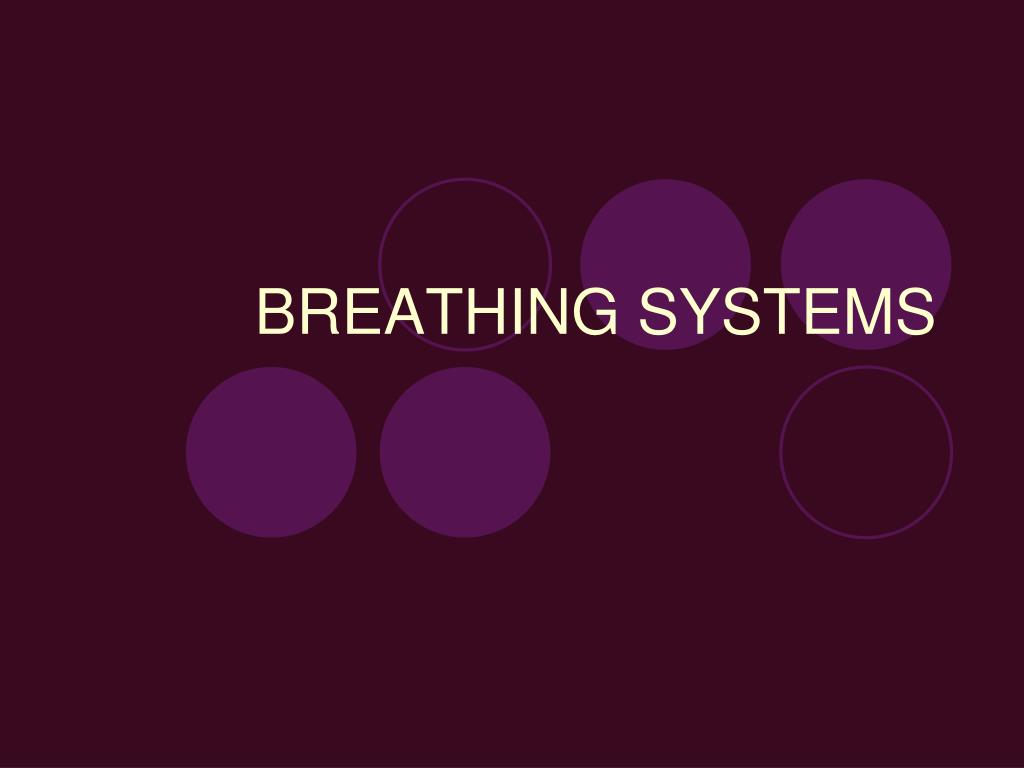 PPT - BREATHING SYSTEMS PowerPoint Presentation, free download - ID:1719927