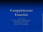 PPT - Campylobacter PowerPoint Presentation, free download - ID:856429
