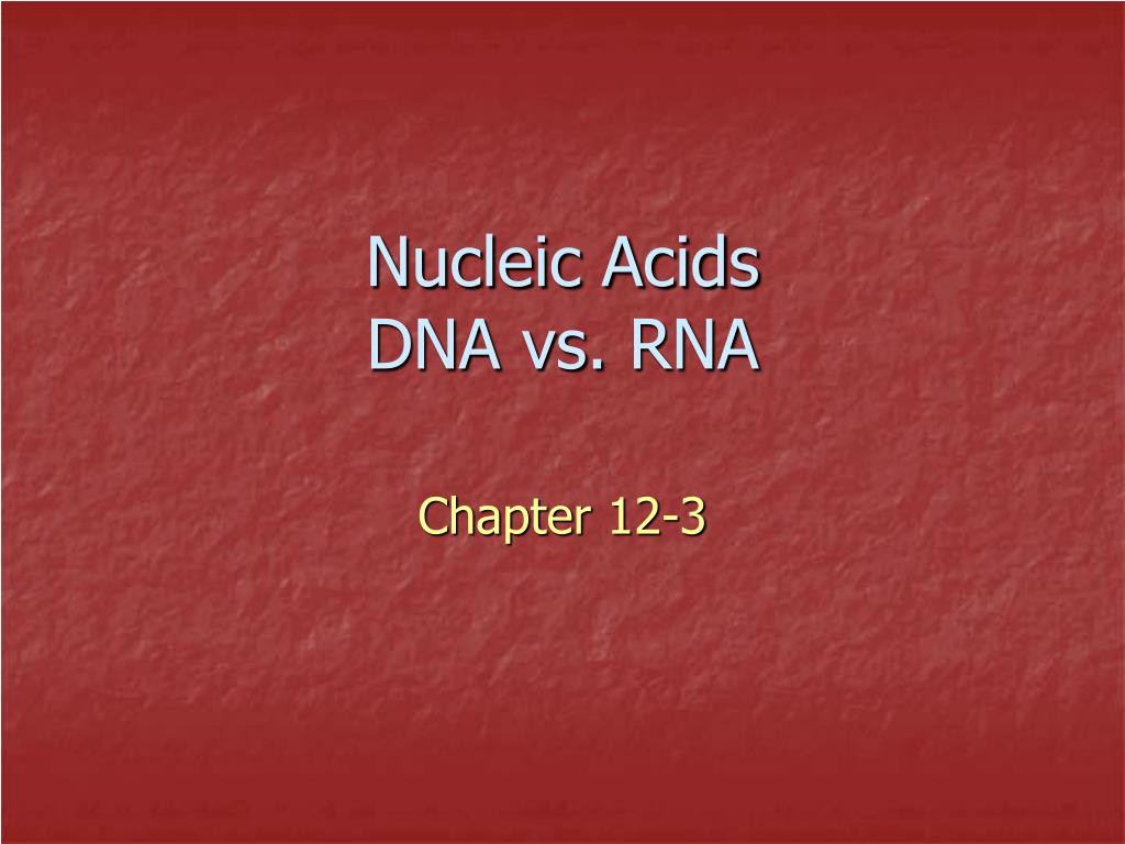 PPT - Nucleic Acids DNA vs. RNA PowerPoint Presentation, free download ...