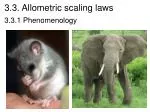 PPT - Allometric scaling to predict pharmacokinetic and pharmacodynamic ...