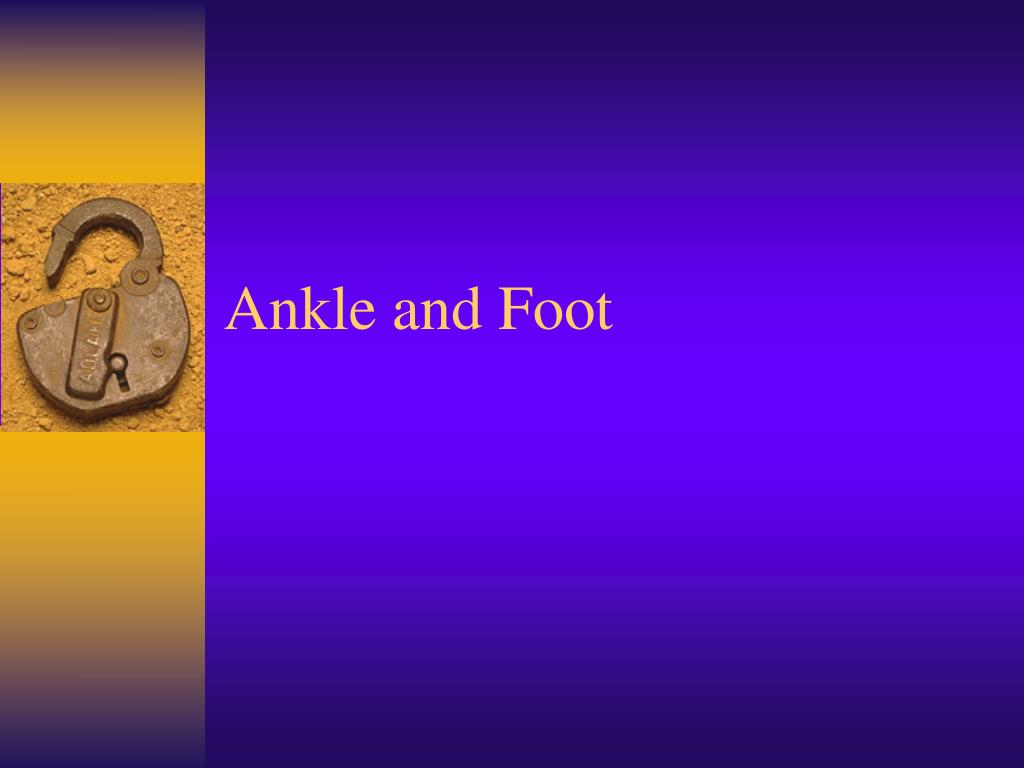 PPT - Ankle and Foot PowerPoint Presentation, free download - ID:1726100
