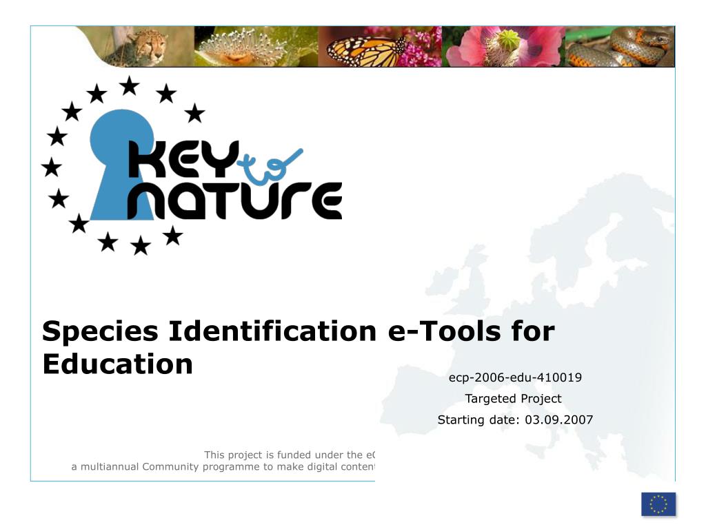 PPT - Species Identification e-Tools for Education PowerPoint ...