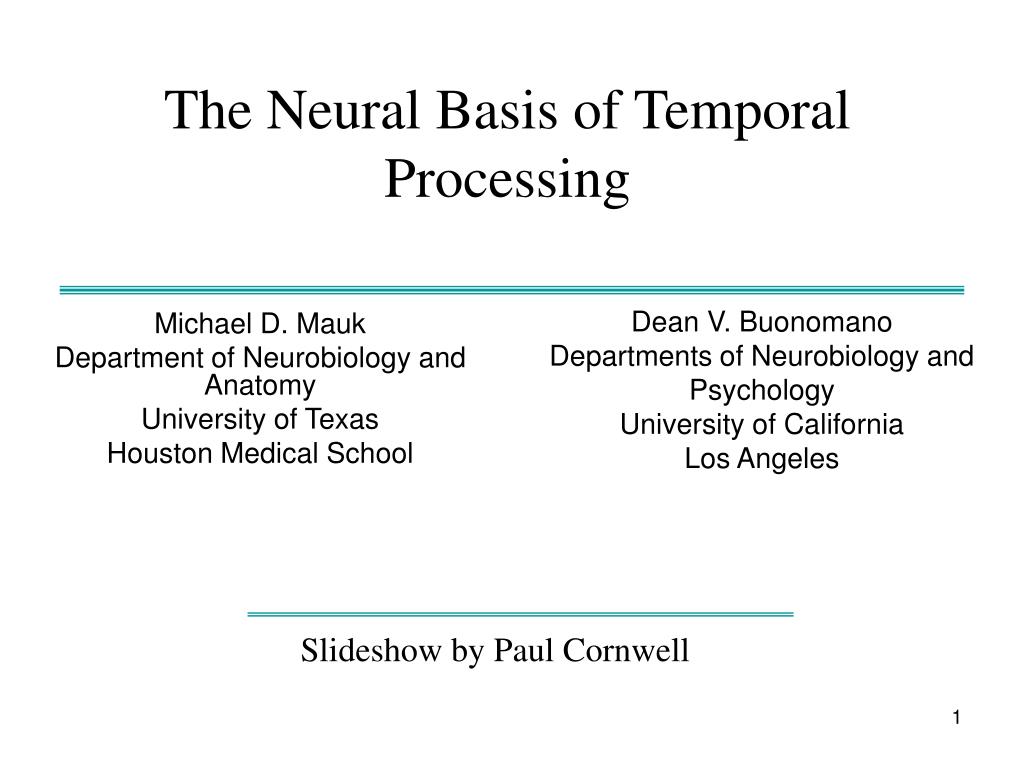 PPT - The Neural Basis of Temporal Processing PowerPoint Presentation ...