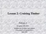 PPT - Cruising Timber PowerPoint Presentation, free download - ID:2256498