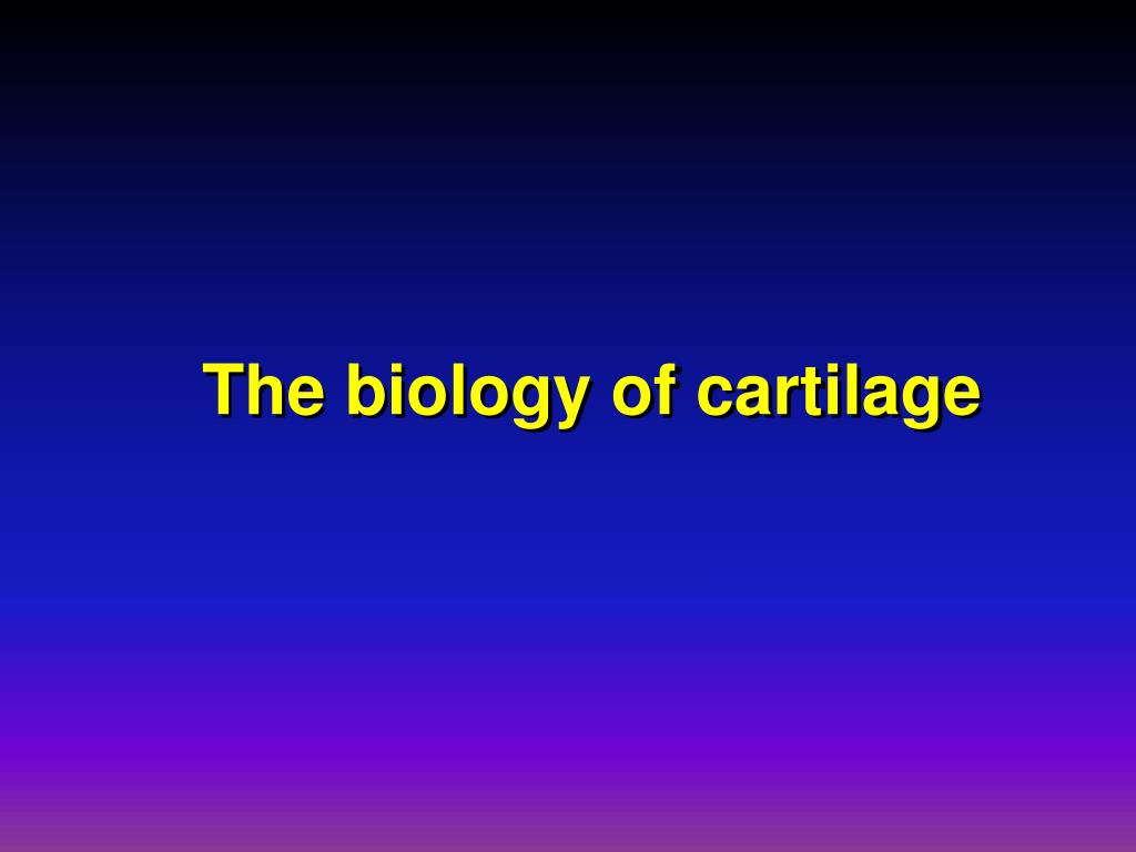 PPT - The biology of cartilage PowerPoint Presentation, free download ...