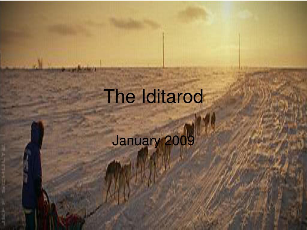 PPT - The Iditarod PowerPoint Presentation, free download - ID:1735343