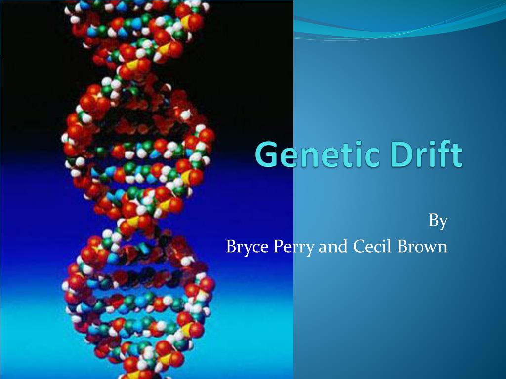 PPT - Genetic Drift PowerPoint Presentation, free download - ID:1737189