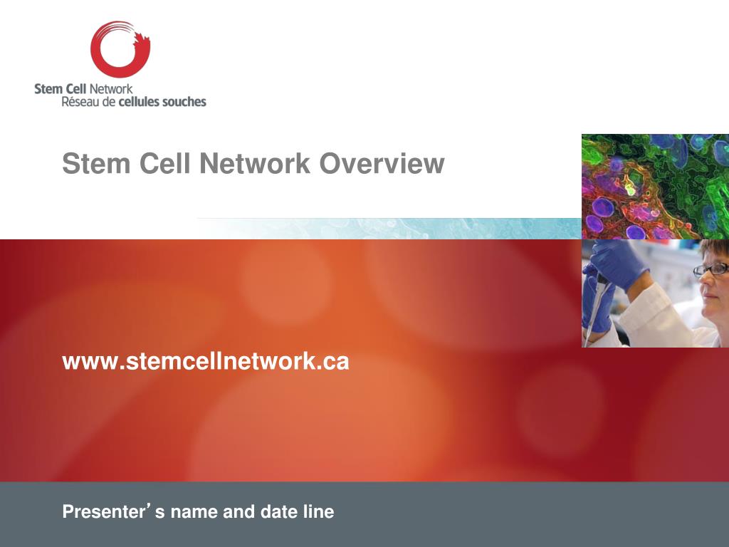 PPT - Stem Cell Network Overview PowerPoint Presentation, free download ...