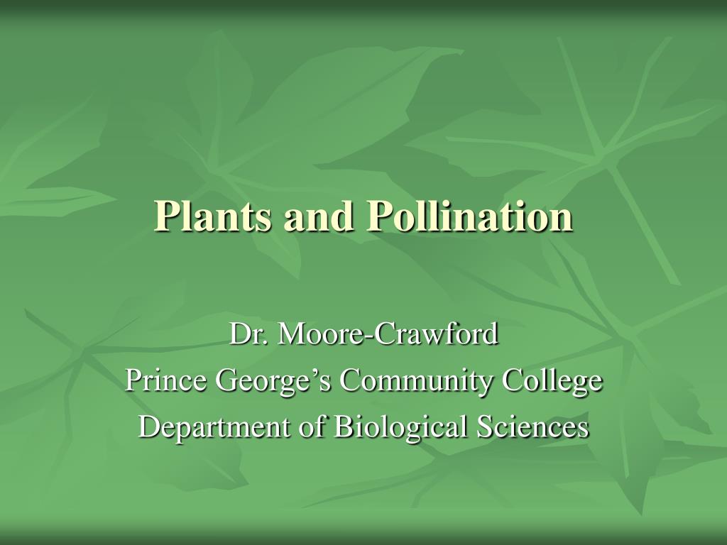 PPT - Plants and Pollination PowerPoint Presentation, free download ...