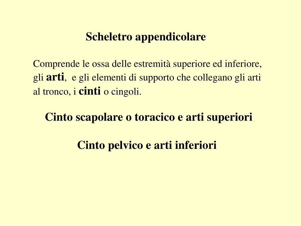 PPT - Scheletro appendicolare PowerPoint Presentation, free download ...