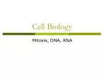PPT - Chapter 3 Cell Biology & Genetics PowerPoint Presentation, free ...