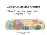 PPT - Cell Structure & Function PowerPoint Presentation, free download - ID:5128250