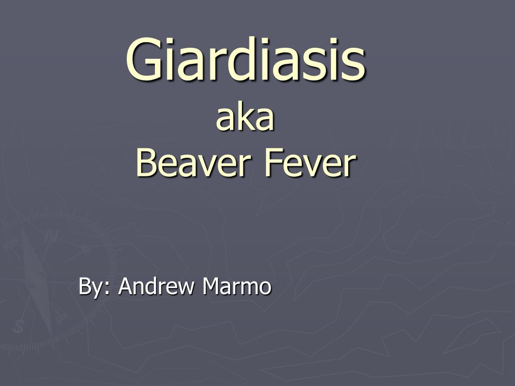 PPT - Giardiasis aka Beaver Fever PowerPoint Presentation, free ...