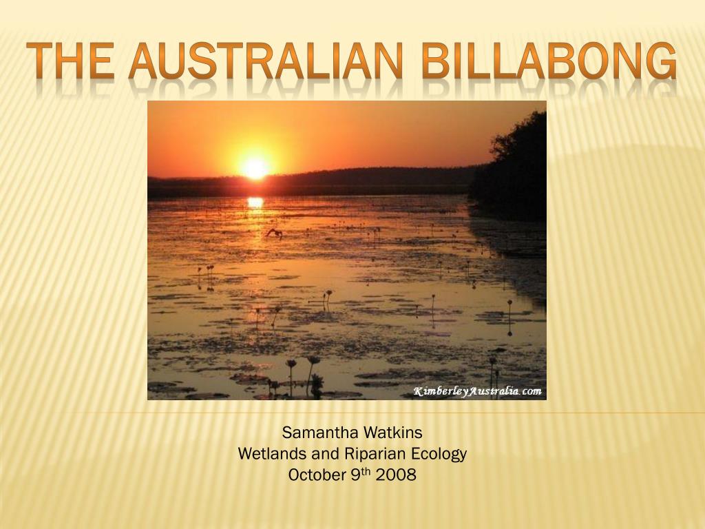 PPT - The Australian Billabong PowerPoint Presentation, free download ...