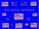 PPT - Trace Minerals PowerPoint Presentation, free download - ID:545220