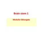 PPT - Brain Stem PowerPoint Presentation, free download - ID:3773717
