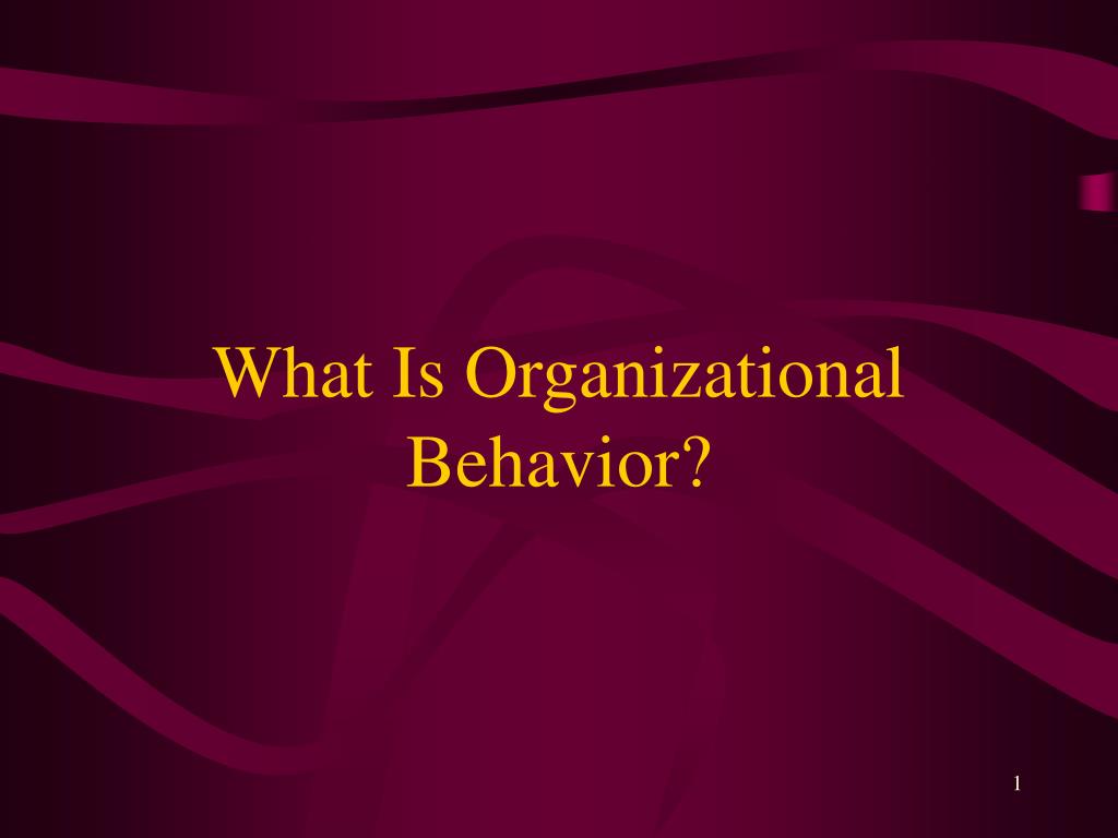 PPT - What Is Organizational Behavior? PowerPoint Presentation, free ...