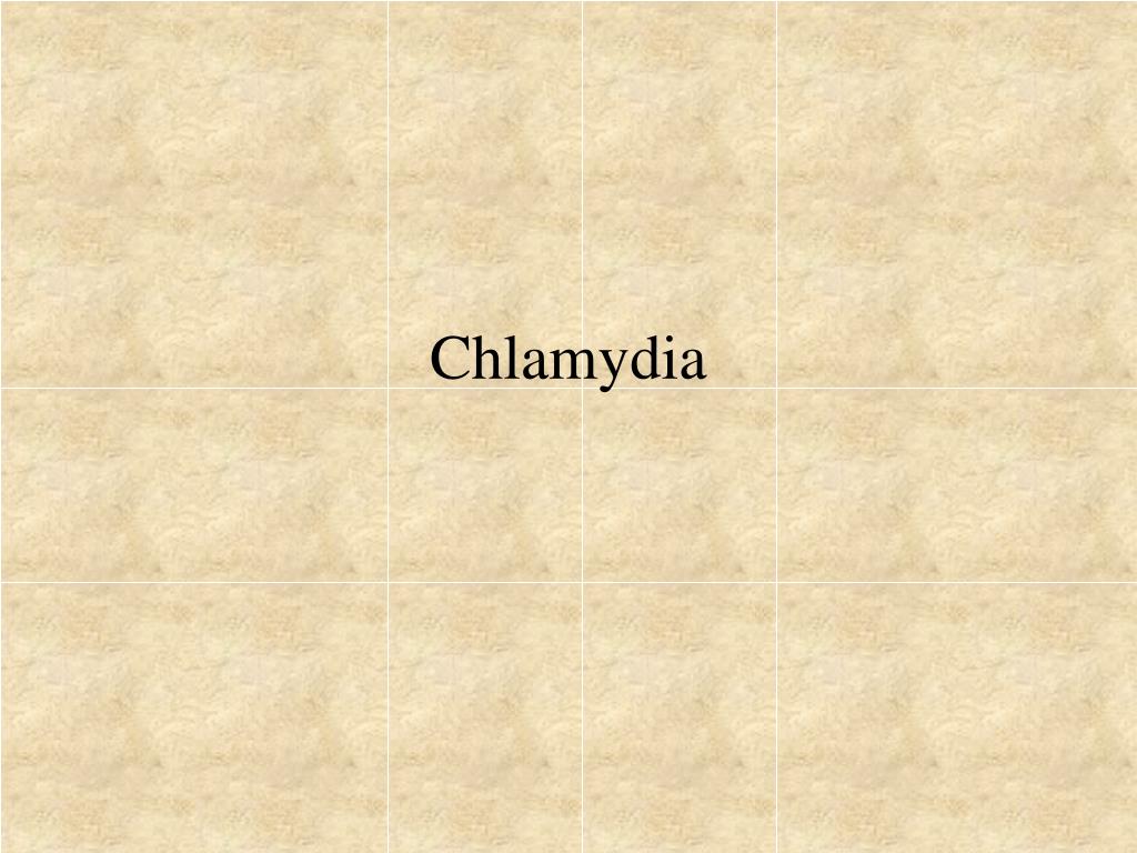 PPT - Chlamydia PowerPoint Presentation, free download - ID:1751535
