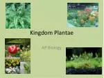 PPT - KINGDOM PLANTAE PowerPoint Presentation, free download - ID:226619