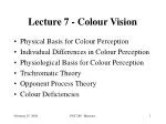 PPT - Colour vision PowerPoint Presentation, free download - ID:5612054