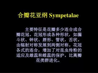 PPT - 合瓣花亚纲 Sympetalae PowerPoint Presentation, free download - ID:1754938