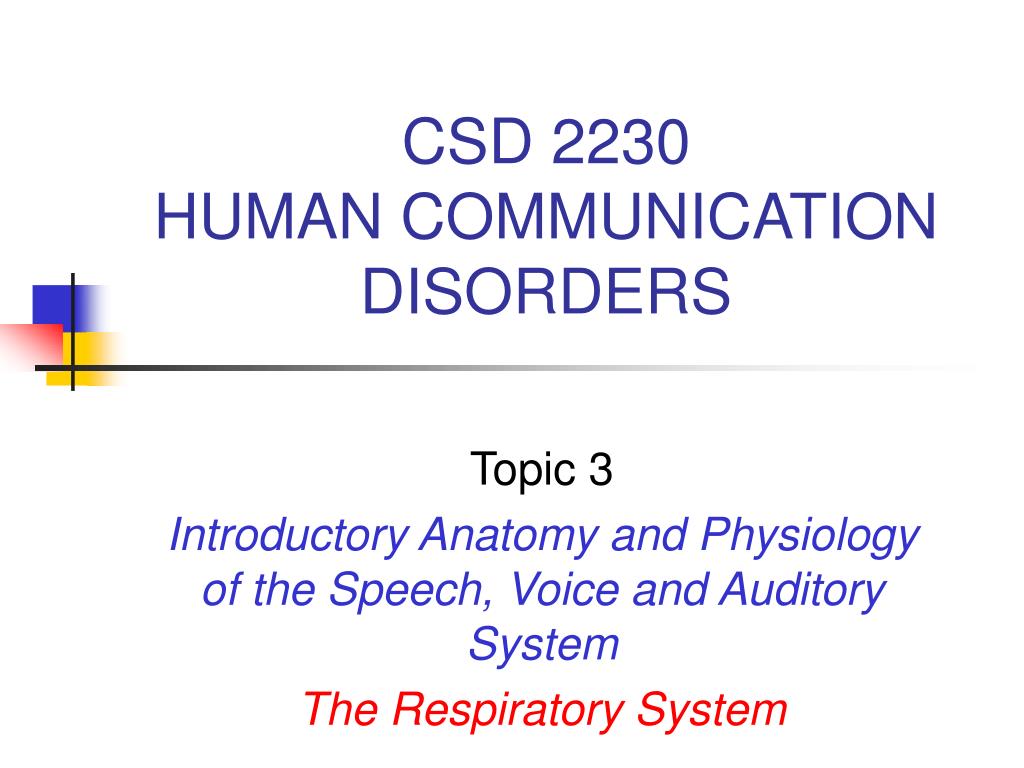 PPT - CSD 2230 HUMAN COMMUNICATION DISORDERS PowerPoint Presentation ...