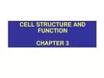 PPT - Unit One- Chapter 3 Cell Structure PowerPoint Presentation, free ...