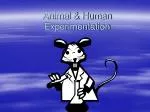 PPT - Human Experimentation PowerPoint Presentation, free download - ID ...