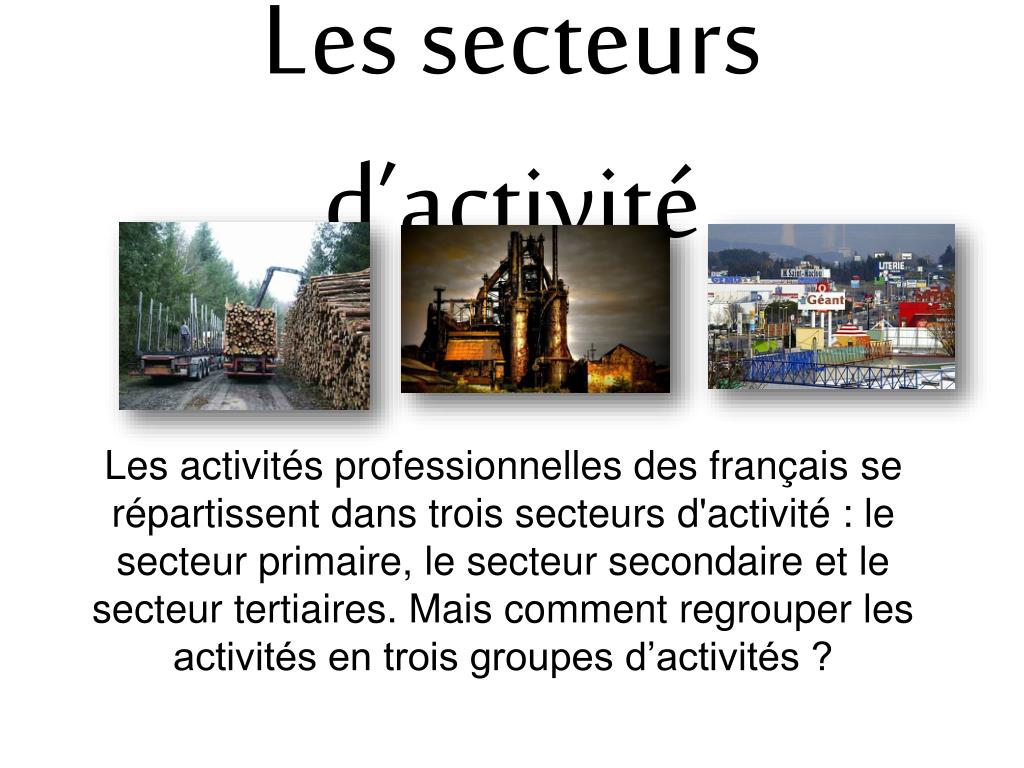 PPT - Les secteurs d’activité PowerPoint Presentation, free download - ID:1757519