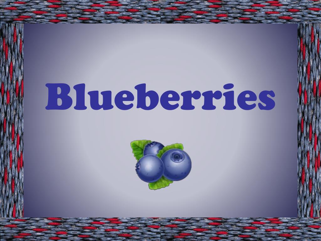 PPT - Blueberries PowerPoint Presentation, free download - ID:1759774
