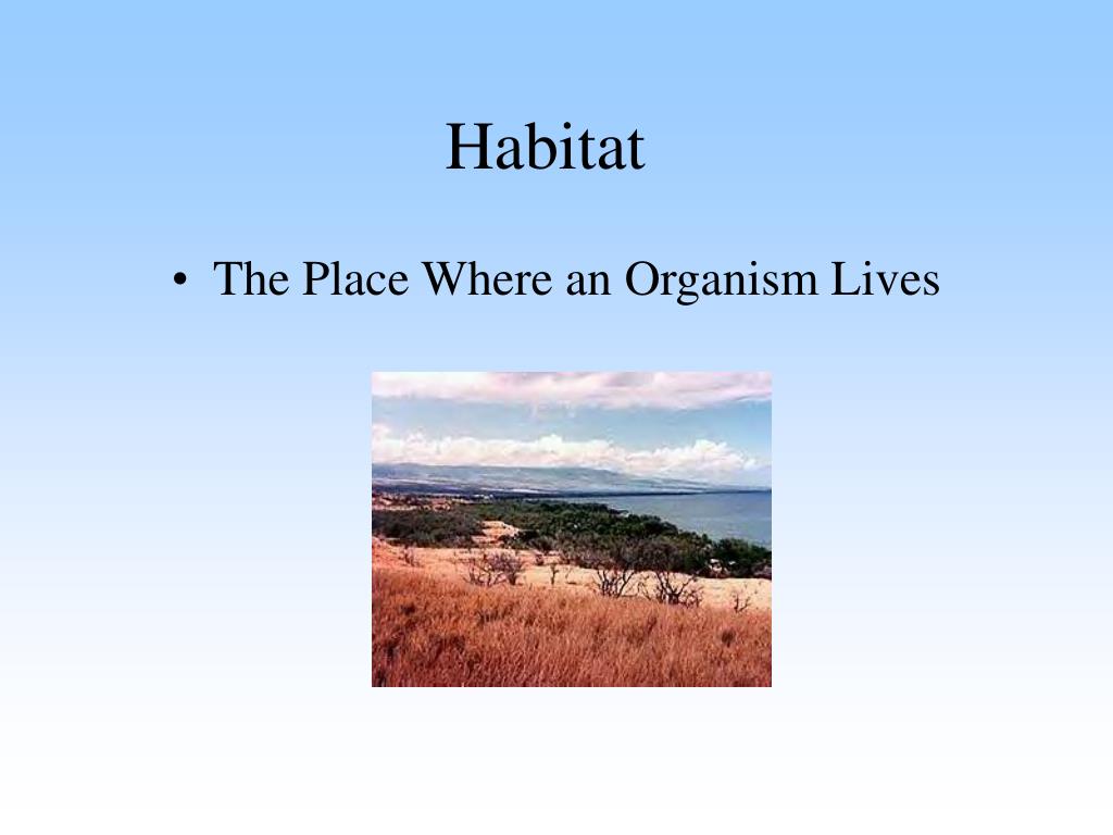 PPT - Habitat PowerPoint Presentation, free download - ID:1759977