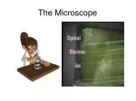 PPT - The Polarizing Light Microscope PowerPoint Presentation, free ...