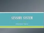 PPT - The Sensory System PowerPoint Presentation, free download - ID:73520