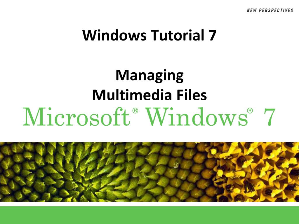 PPT - Windows Tutorial 7 Managing Multimedia Files PowerPoint ...