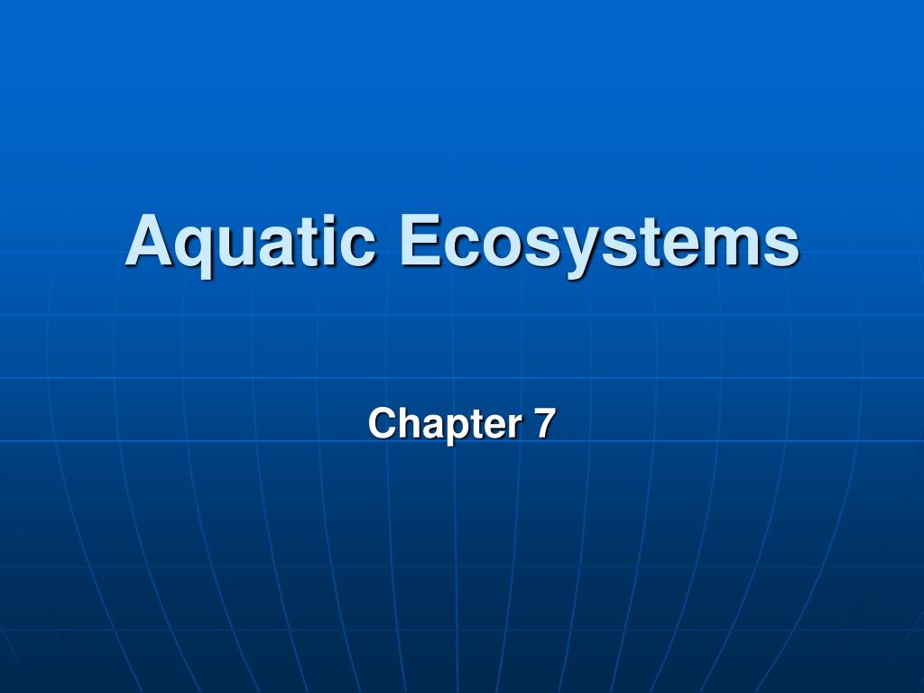 PPT - Aquatic Ecosystems PowerPoint Presentation, free download - ID ...