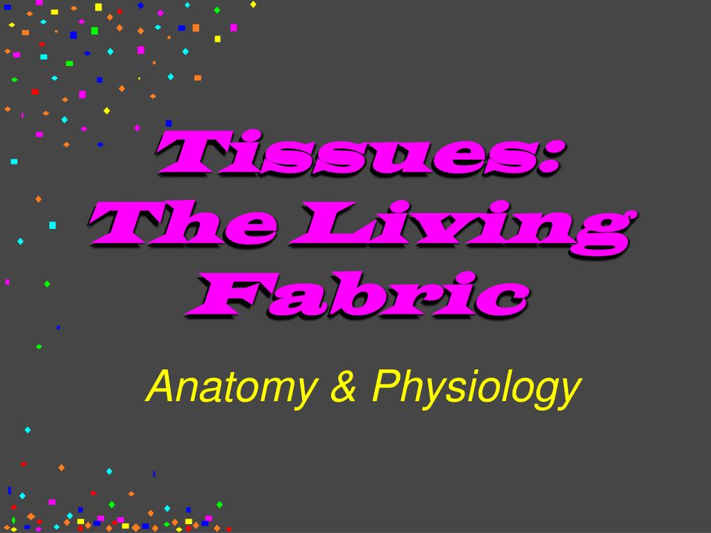 PPT - Tissues: The Living Fabric PowerPoint Presentation, free download ...